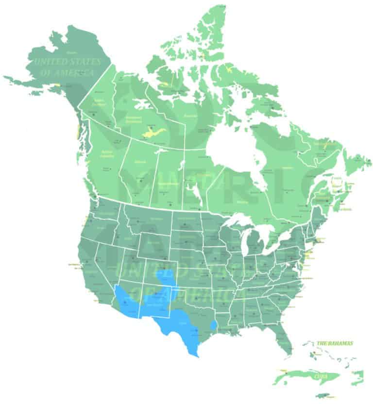 American Hog-nosed Skunk – North American Nature