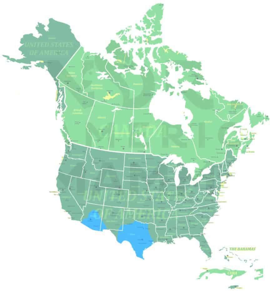 Collared Peccary – North American Nature