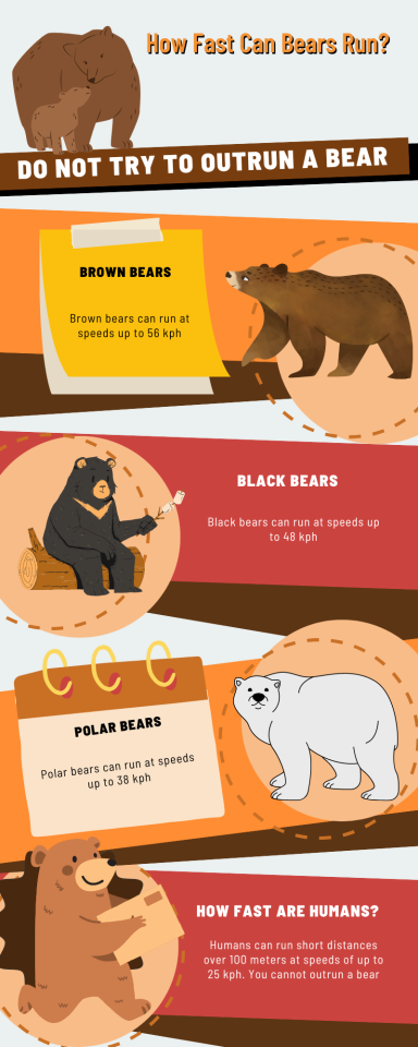 Do Not Try To Outrun A Bear