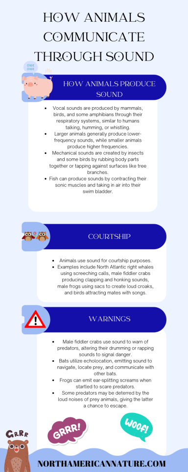 How Animals Communicate Through Sound