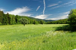 Prairie Landscapes And Biodiversity: An Intertwined Story – North ...