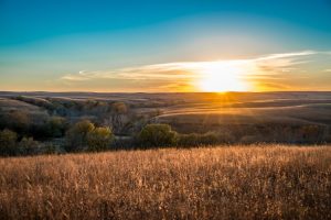 Prairie Landscapes And Biodiversity: An Intertwined Story – North ...