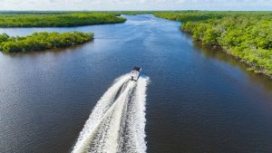 The Everglades Ecosystem: Unveiling Biodiversity In Florida's Wetlands