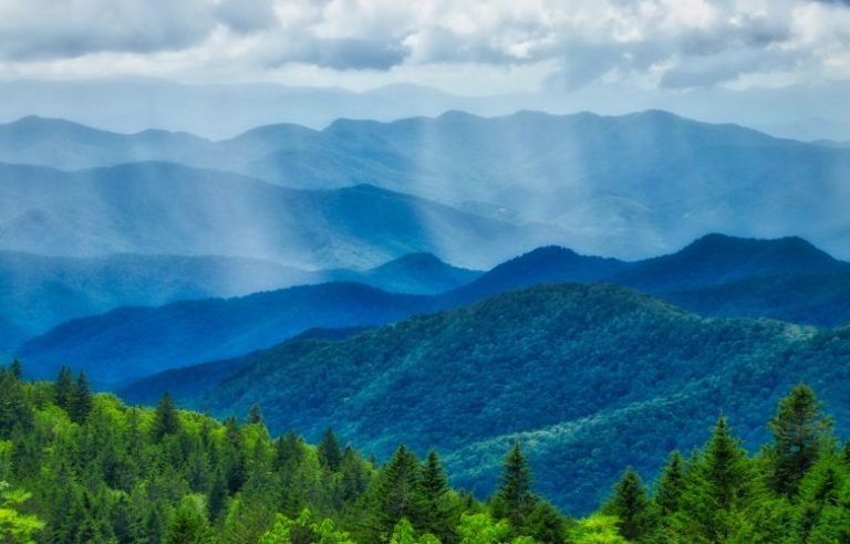 Biodiversity In The Appalachian Mountains: Discovering Hidden Gems ...