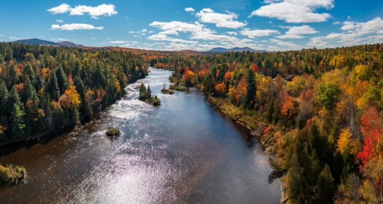 Exploring Biodiversity In The Adirondacks: New York’s Ecological Gem ...