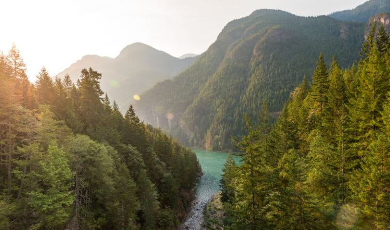 The Cascading Rivers And Biodiversity Of The Pacific Northwest – North ...