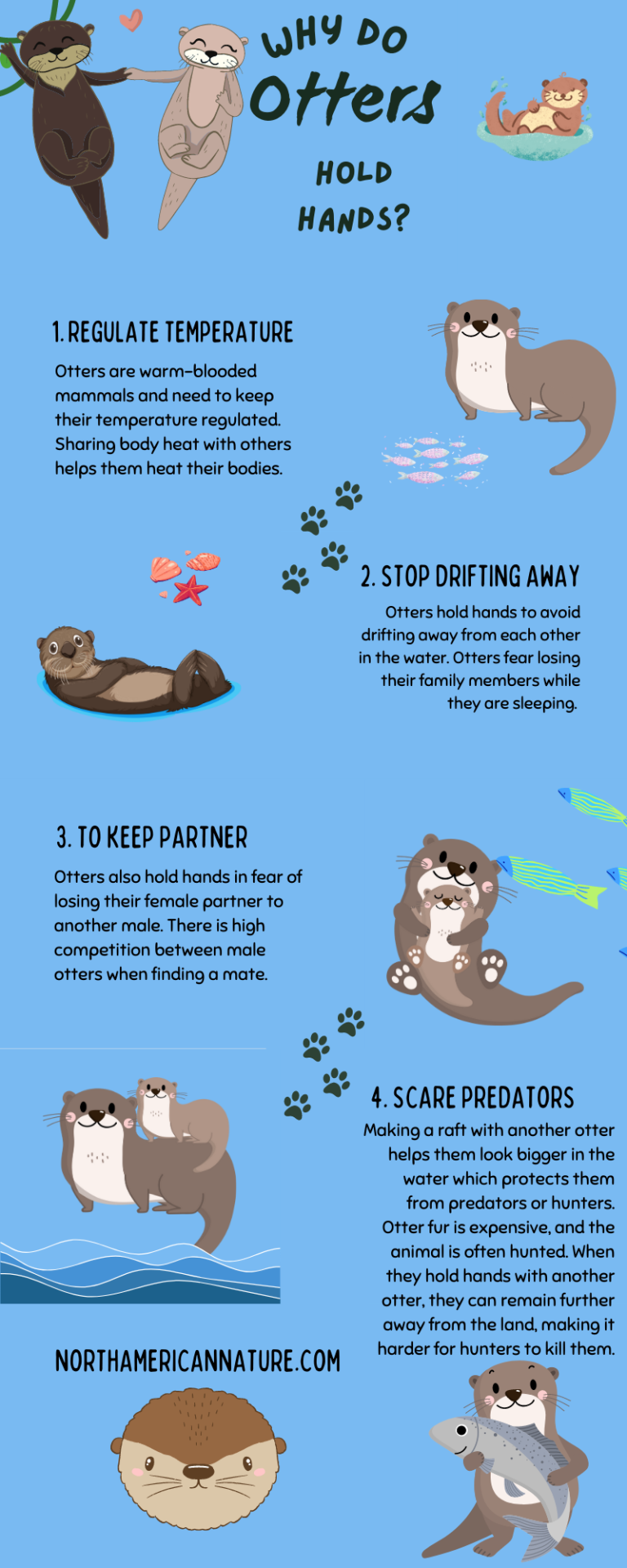 Why Do Otters Hold Hands?