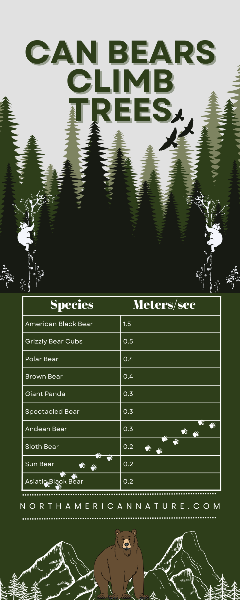 Can Bears Climb Trees?